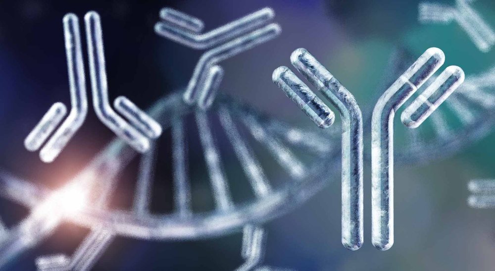 ELREXFIO (elranatamab-bcmm) Approved By FDA | International Myeloma ...