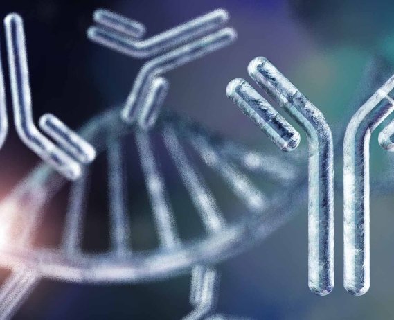 ELREXFIO (elranatamab-bcmm) Approved By FDA | International Myeloma ...