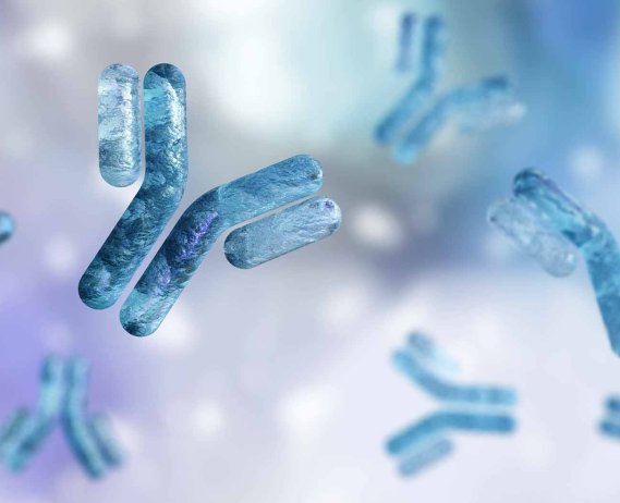 TALVEY (talquetamab-tgvs) Approved By FDA | International Myeloma ...