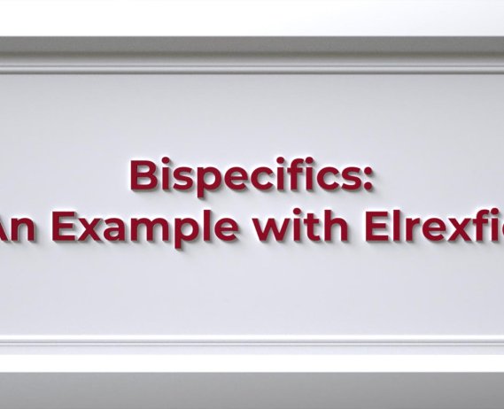 Understanding ELREXFIO | Int'l Myeloma Fndtn