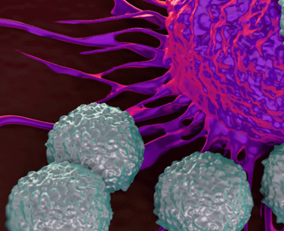 Understanding Body's Immune Defenses | Int Myeloma Fn