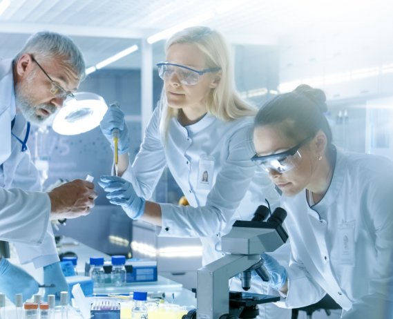 Myeloma Research: Discoveries & Advances at the IMF