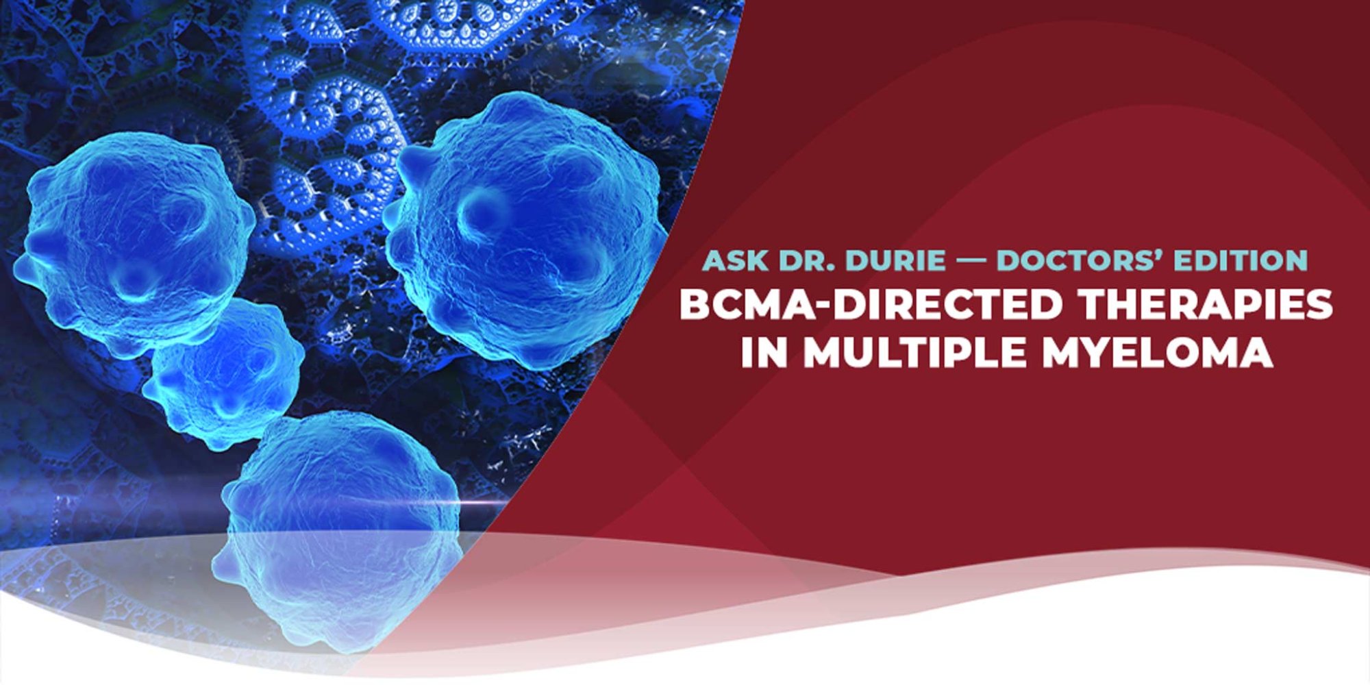BCMA-Directed Therapies in Multiple Myeloma | Int'l Myeloma Fndtn